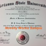 Deluxe Diploma plus Transcripts – Novelty Works Degrees