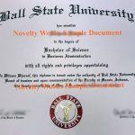 Deluxe Diploma plus Transcripts – Novelty Works Degrees