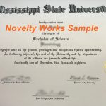 Deluxe Diploma plus Transcripts – Novelty Works Degrees