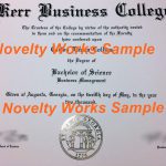 Xpress Deluxe Diploma with Transcripts - Novelty Works Degrees