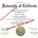 Xpress Deluxe Diploma with Transcripts - Novelty Works Degrees