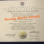 Xpress Deluxe Diploma with Transcripts - Novelty Works Degrees
