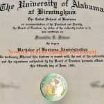 Deluxe Diploma plus Transcripts – Novelty Works Degrees