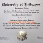 Deluxe Diploma plus Transcripts – Novelty Works Degrees