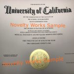 Xpress Deluxe Diploma with Transcripts - Novelty Works Degrees