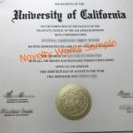Xpress Deluxe Diploma with Transcripts - Novelty Works Degrees