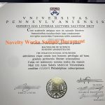 Xpress Deluxe Diploma with Transcripts - Novelty Works Degrees