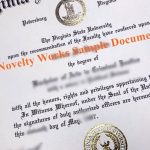 Xpress Deluxe Diploma with Transcripts - Novelty Works Degrees